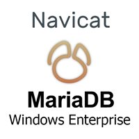 Navicat - VSM365